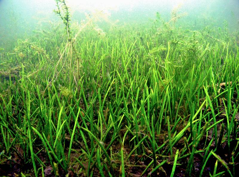 Schutzgebiete Schleswig-Holstein